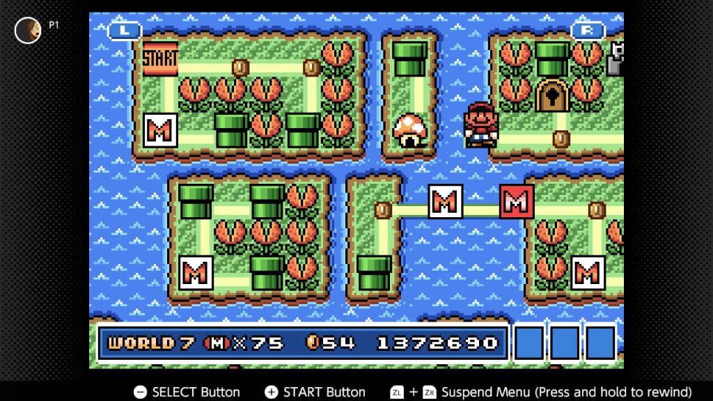 Super Mario Advance 4: Super Mario Bros. 3 (Game Boy Advance Review ...